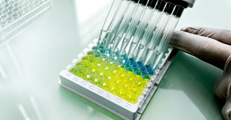 IDvet launches “high-performance” COVID-19 antibody test for humans.