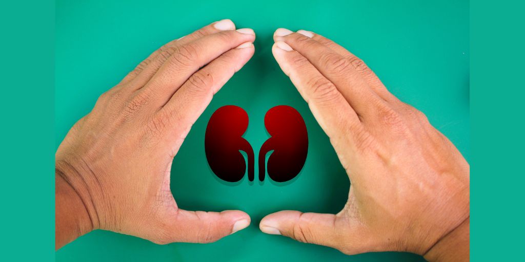 World kidney day – Kidney transplant heroes showcase the rewards of ...